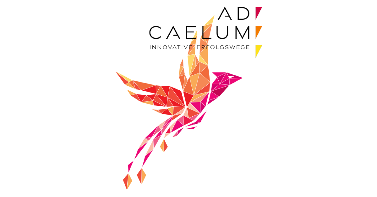Mit Ad Caelum Zum Innovativen Erfolgsweg 